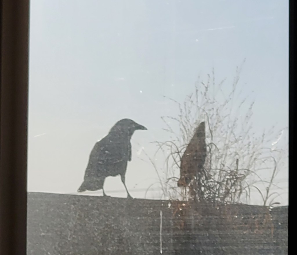 Places | Close to the Ground: Living Inductively