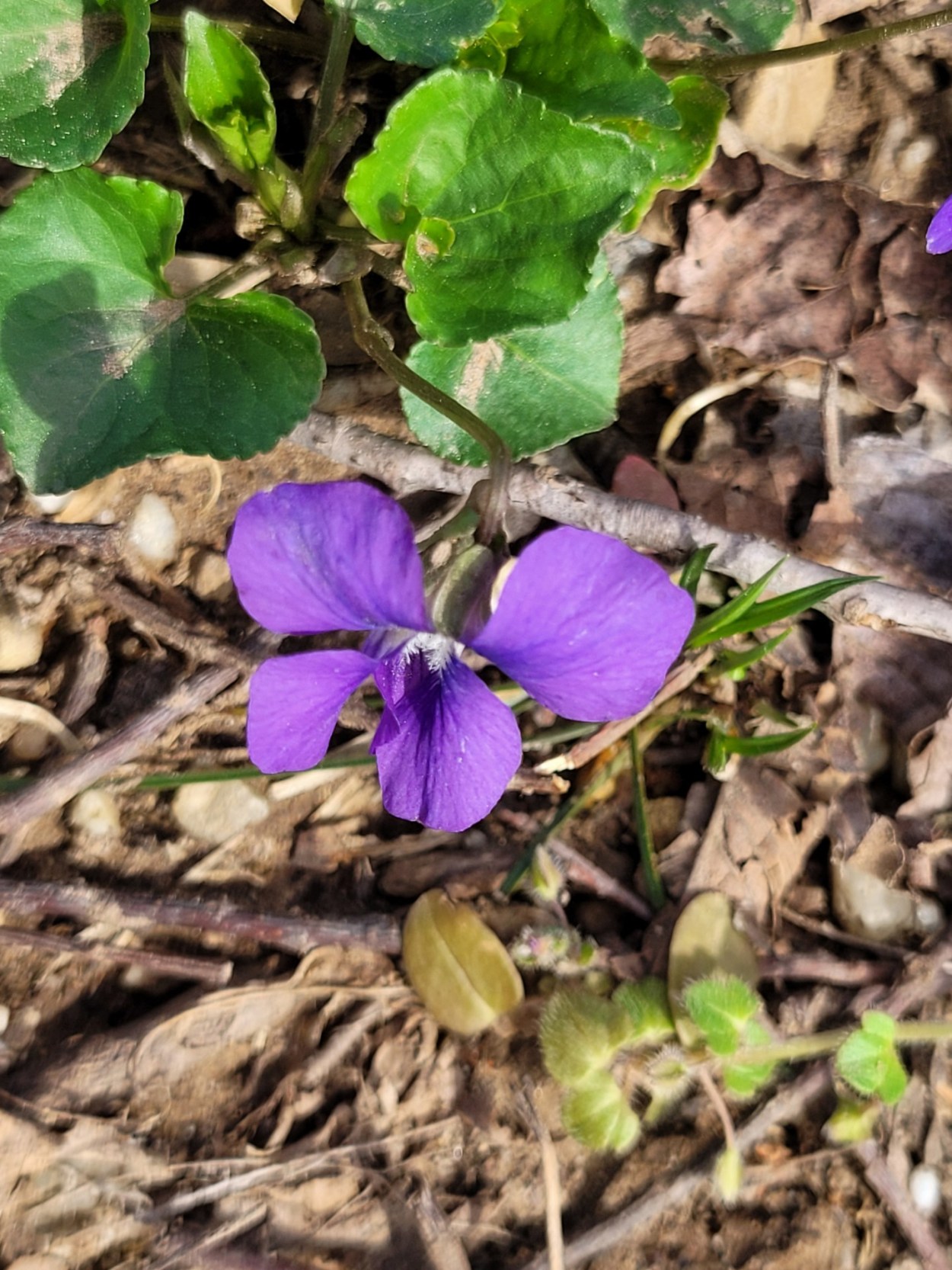 Places | Close to the Ground: Living Inductively